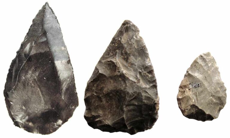 The Story of the Life and Death of Neanderthal Man - Dinoera