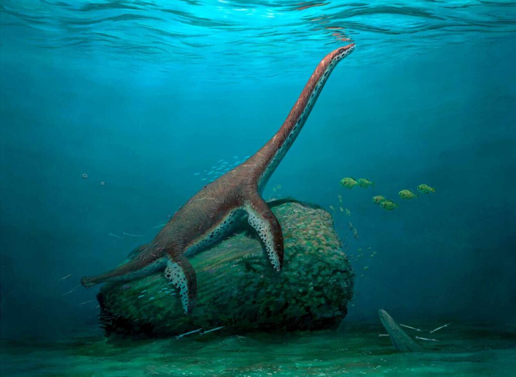 New Plesiosaur Franconiasaurus Discovered in Germany - Dinoera