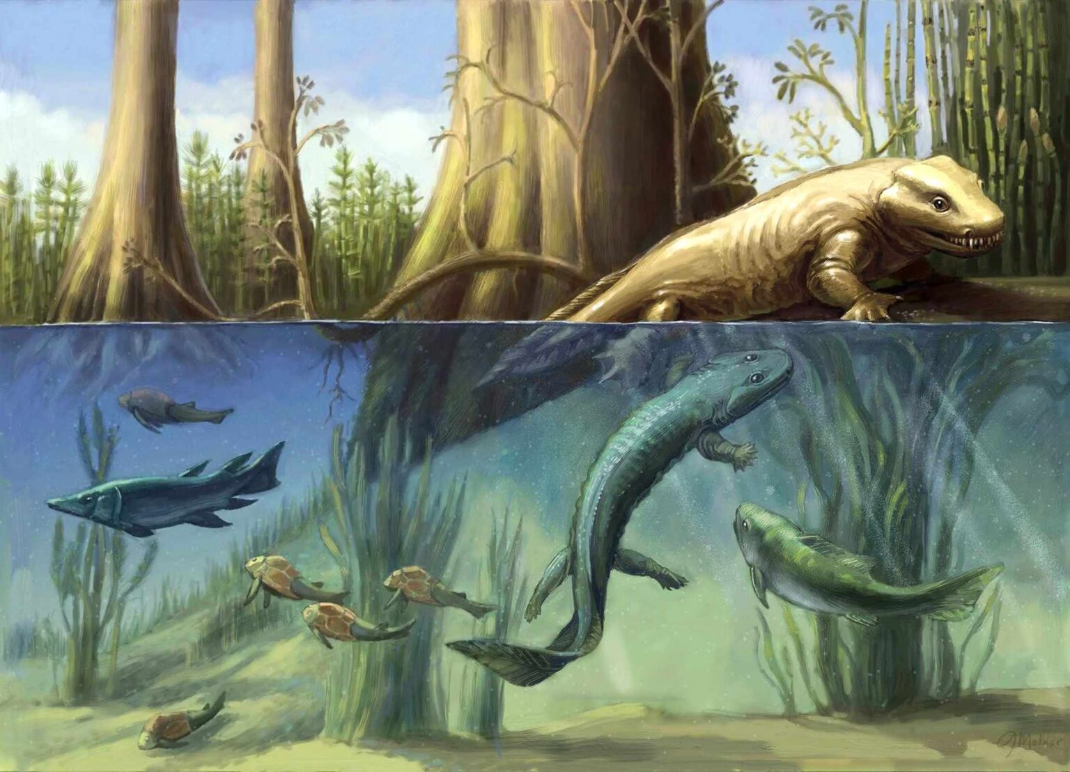 Early Tetrapod Tracks Redefine Evolutionary Timeline - Dinoera