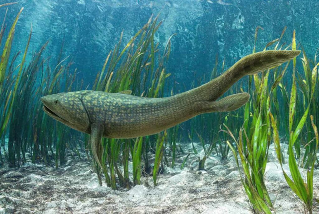 Early Tetrapod Tracks Redefine Evolutionary Timeline - Dinoera