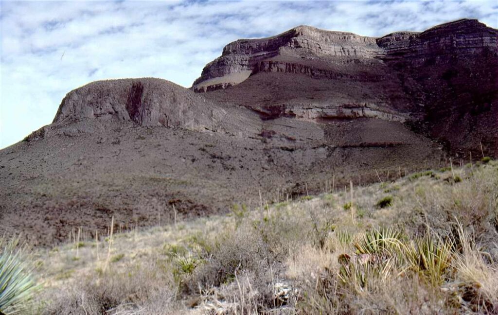 Fossil Reefs and Reef Builders: Devonian–Cenozoic - Dinoera