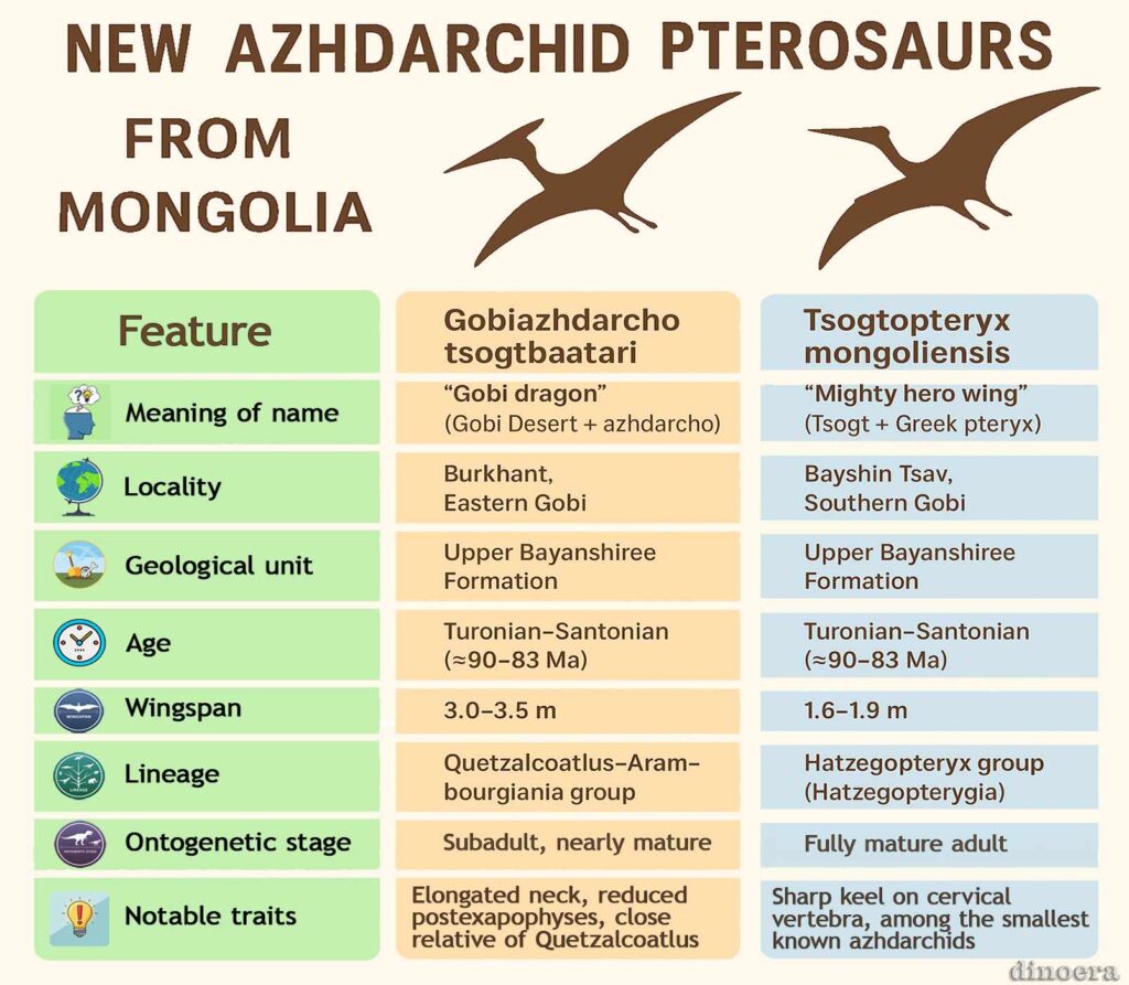 New Azhdarchid Pterosaurs from Mongolia - Dinoera