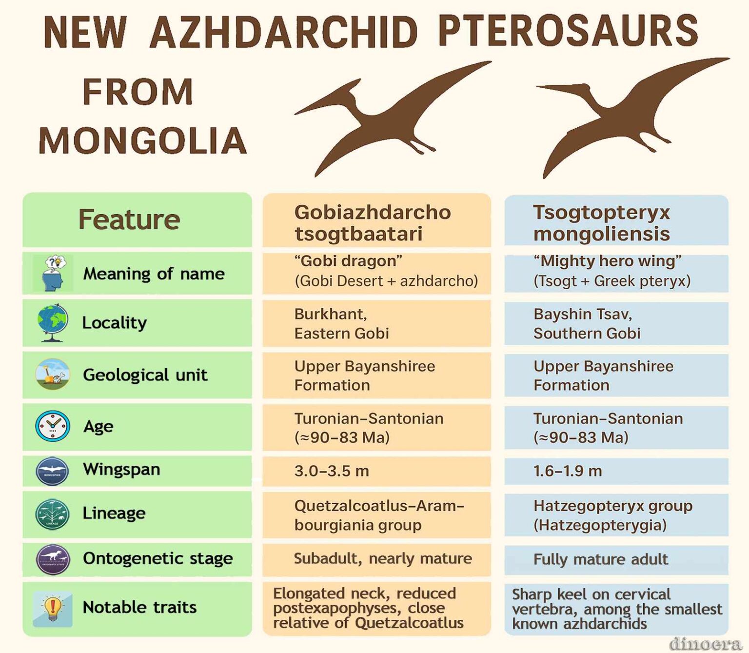 New Azhdarchid Pterosaurs from Mongolia - Dinoera