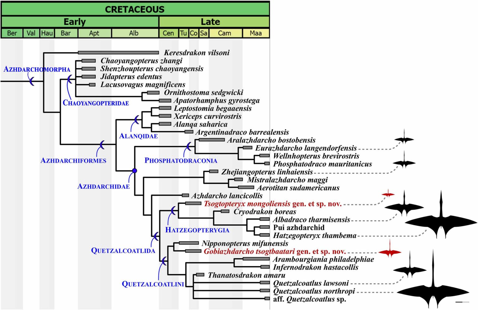 New Azhdarchid Pterosaurs from Mongolia - Dinoera