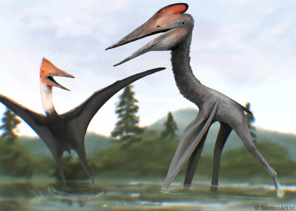 New Azhdarchid Pterosaurs from Mongolia - Dinoera